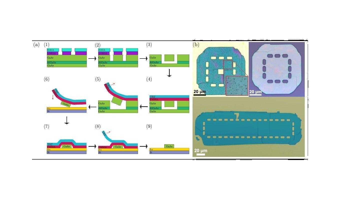 New article on transfer printing process for integrated quantum ...
