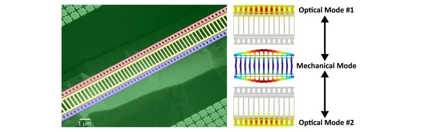 Home | Joint Quantum Institute | Srinivasan Group