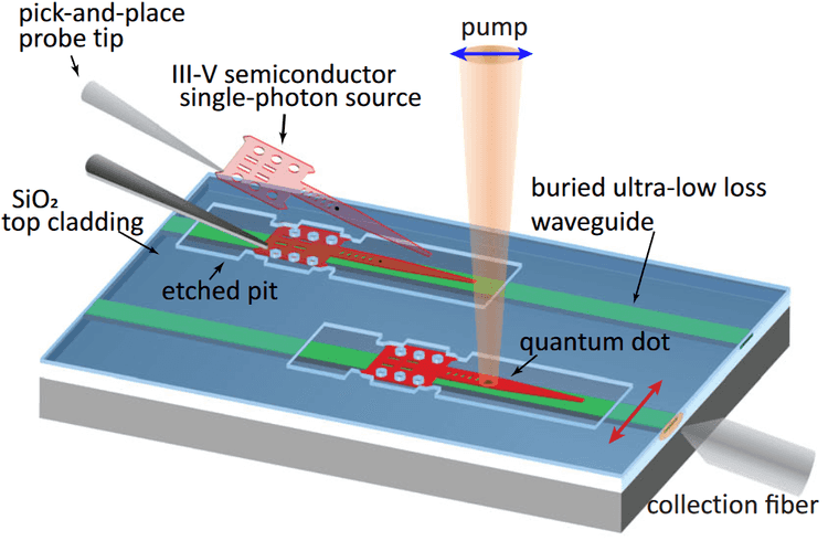 Ultra-low loss quantum photonic circuits integrated with single quantum ...
